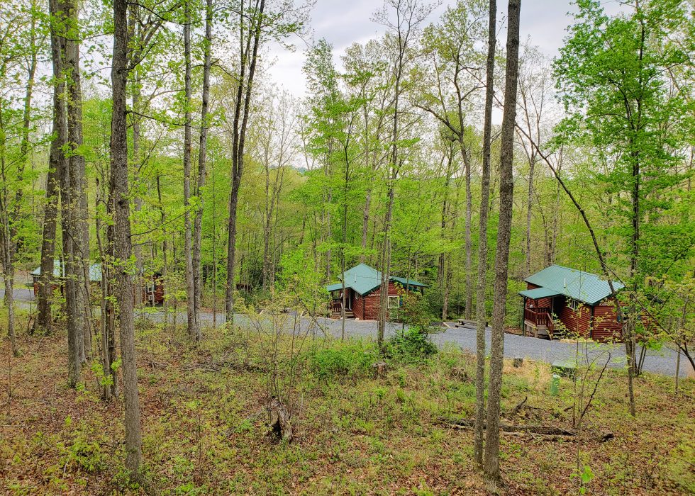 Adventures on the Gorge and Fun Things To Do at New River Gorge ...