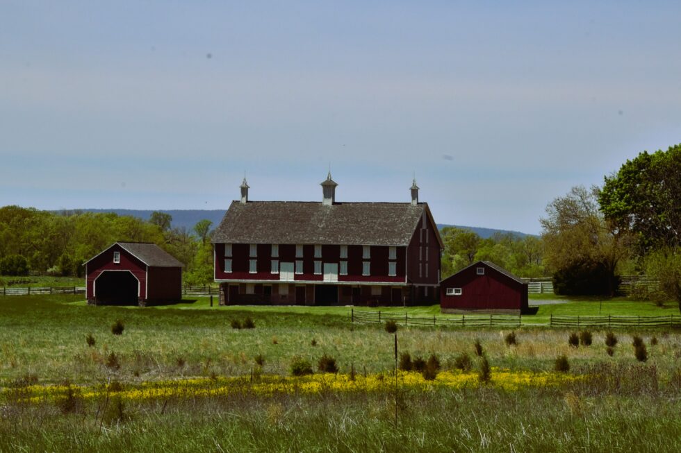Ride into History in Gettysburg Fascinating Tours of 1863
