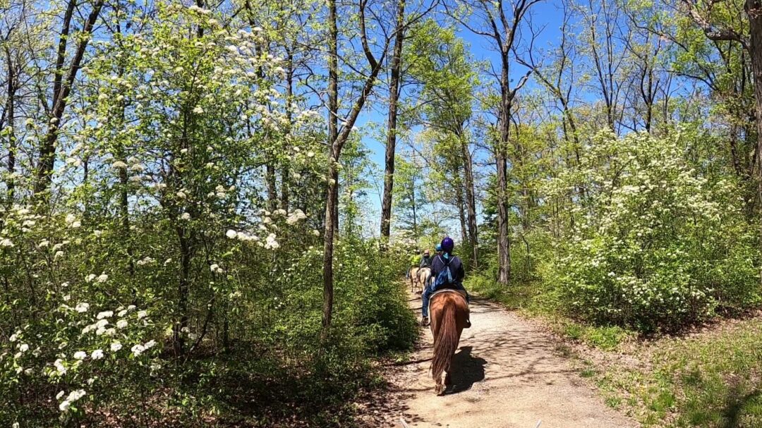 Ride into History in Gettysburg Fascinating Tours of 1863